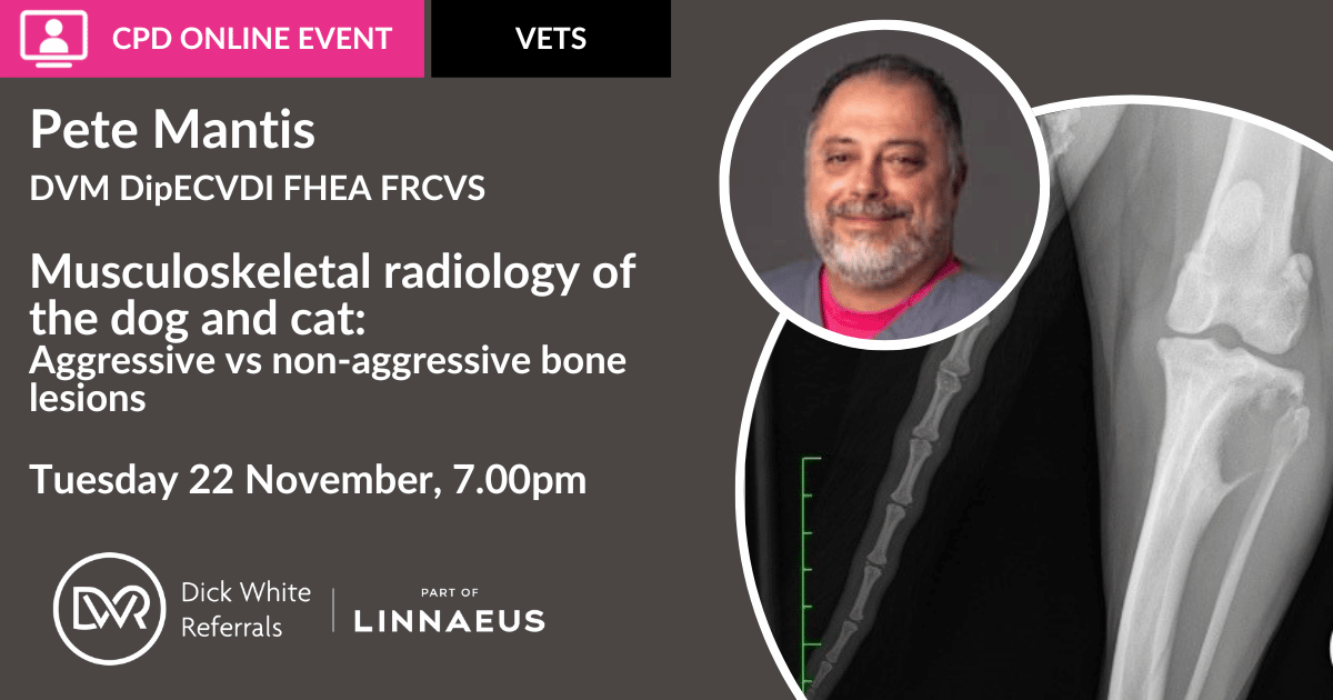 Musculoskeletal radiology of the dog and cat: Aggressive vs Non ...