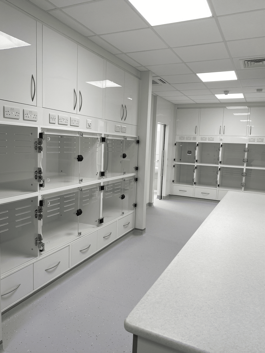 Gold-level cat-friendly clinic (CFC) accreditation | DWR | Cambridgeshire